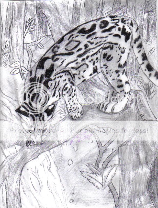 Ocelot Animated Gifs | Photobucket